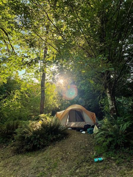 Acampamento No Camping Sagrada Natureza - Paraty