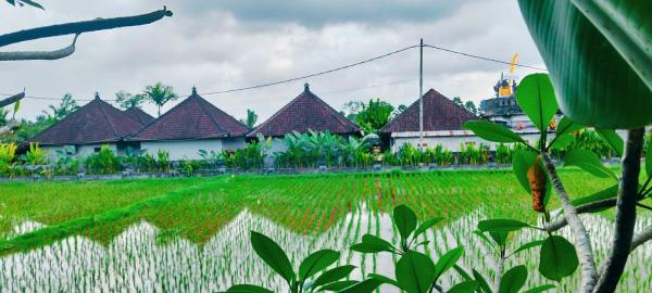 Srijaya Ubud By Best Living - Ubud