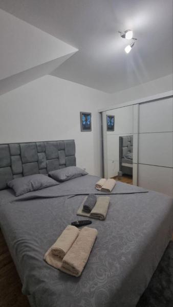 Apartman Djordjevic - Sokobanja