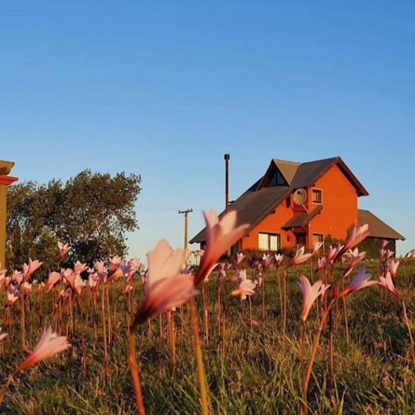 La Peregrina De Tandil - Tandil