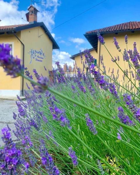 Cascina Domina - Chivasso