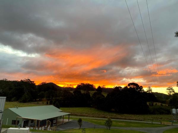 Waterfall Unit Farm Stay - Coffs Harbour