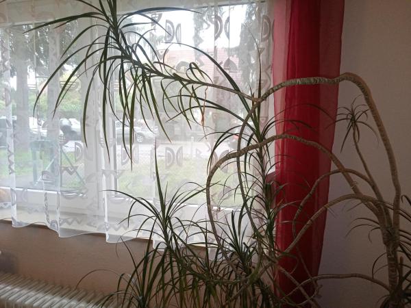 Privatzimmer Berlin - Hermsdorf