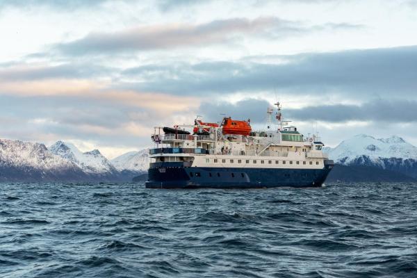 24hrs Northern Lights & Whale Watching Cruise - Tromsø