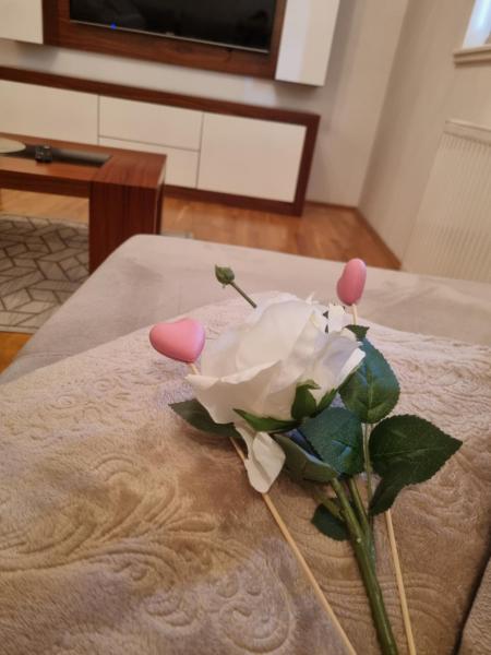 Sarajevo Apartman ČIkma - Sarajevo