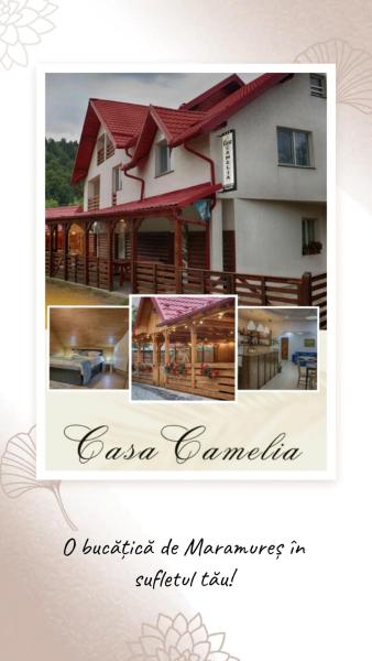 Casa Camelia - Vișeu de Sus