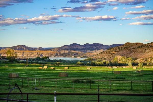 Lake View Horse Ranch - Red Fleet State Park, Vernal
