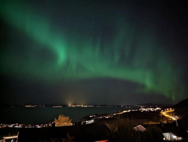 Enebolig Med Fantastisk Utsikt - Trondheim