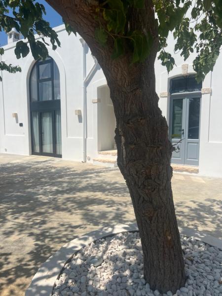 Dimora Nonna Caterina - Monopoli