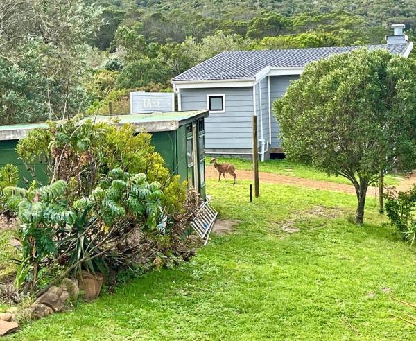 Bushbuck Farm Eco-retreat - Humansdorp