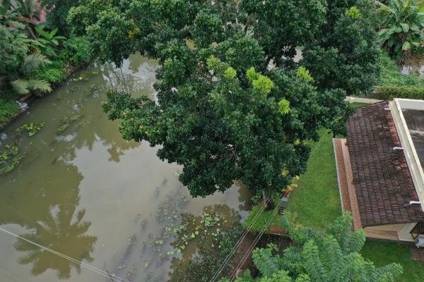 Neelambari - Kumarakom