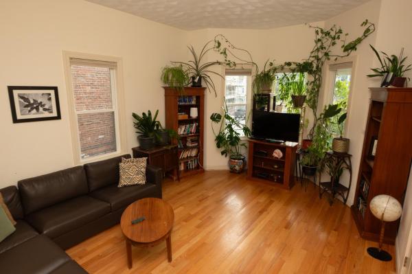 2 Bedroom Boston Condo In Jamaica Plain With Parking - Brandeis University, Waltham