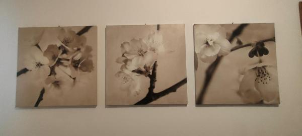 Casa Mina - Mendrisio