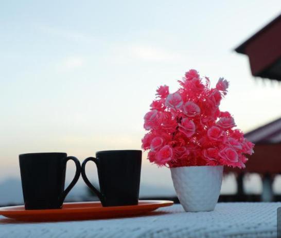 Valley Gulmohar Homestay - Chail
