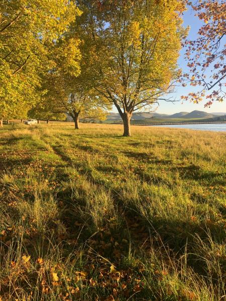 Cosy Farmhouse Studio On Springrove - Mooi River