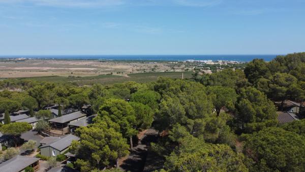 Chalet Familial Entre Les Pins - Agde