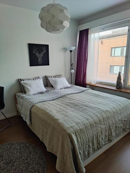 Jaakonkatu City Apartment - Rovaniemi