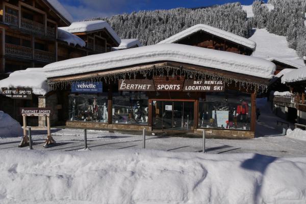 Gentiane - Praz de Lys Sommand