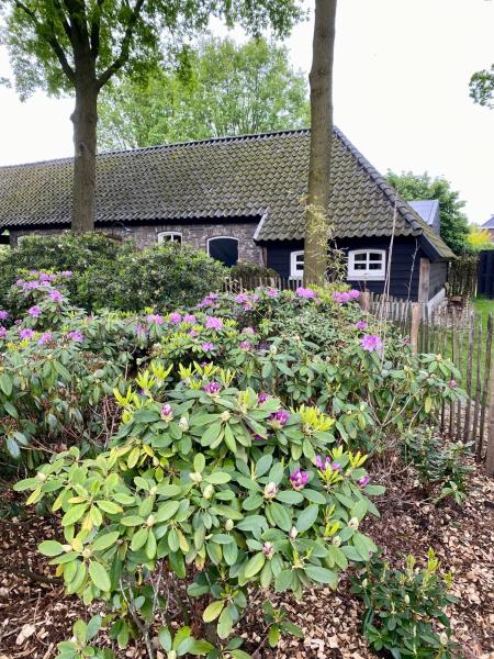 Antoniushofke - Someren