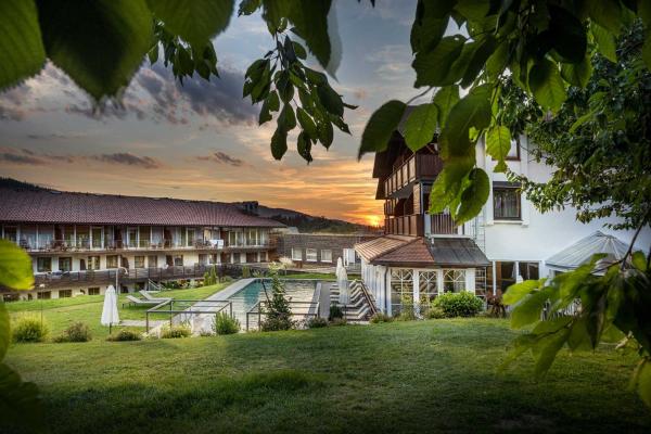 Hotel Lindenwirt - Viechtach