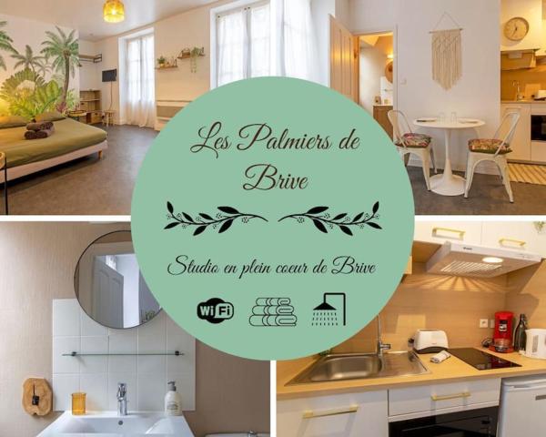 Les Palmiers De Brive - Corrèze