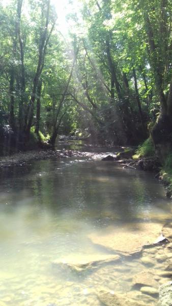 Maison Sowilo - Navarrenx