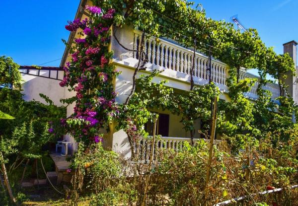 Apartments Snjeza - Vodice