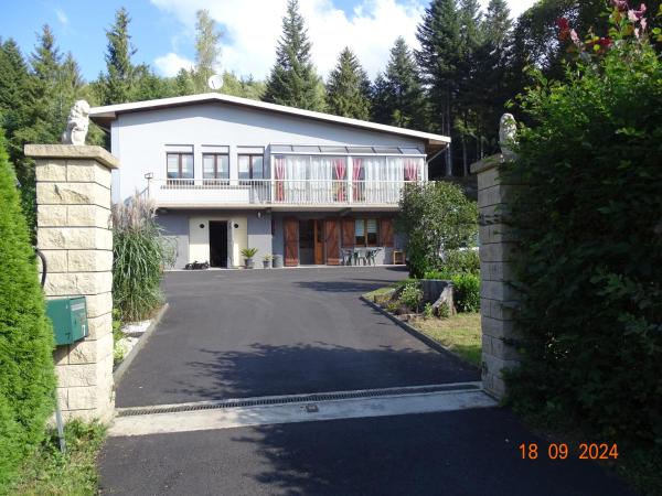 Profiter Du Calme De La Montagne Vosgienne - Saulxures-sur-Moselotte