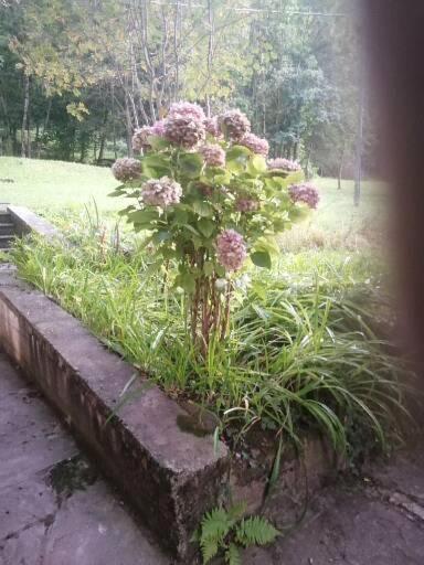 Casa Vacanze Le Ortensie - Sampeyre