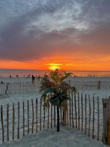 Les Obiones, Vue Latérale Mer, Fort Mahon Plage, Magnifique Studio Cabine 4p, Avec Balcon , Parking Privé Gratuit, Wifi, Classé 2 éToiles, Exposition Plein Sud En Baie De Somme - Belle Dune