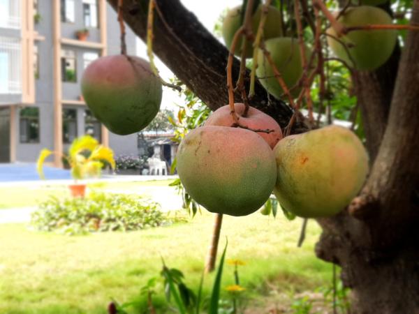 Elira Chez Dr Nkongolo - Kinshasa