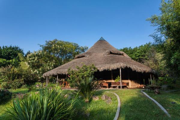 Yolitia Wellness - Mexico