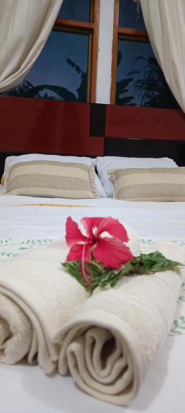 Nature Lodge - Tarapoto