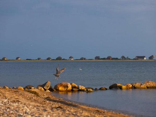 Martinas Mare De Luxe - Heiligenhafen