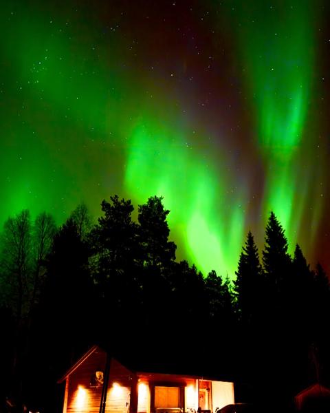 Lapin Paradise - Rovaniemi