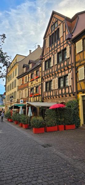 La Tour Du Rempart - Appartement T2 En Duplex En Hypercentre De Colmar - Colmar