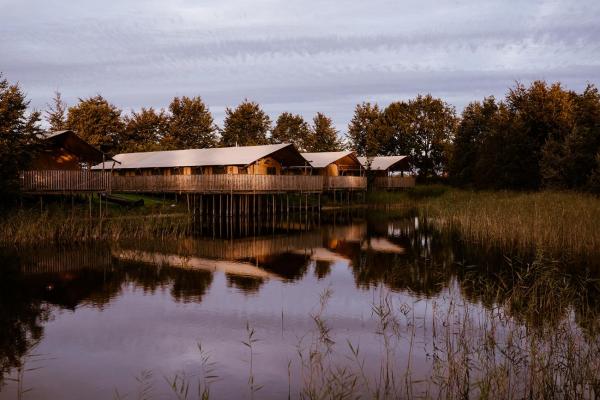 Luxe Glamping Tent - Netherlands