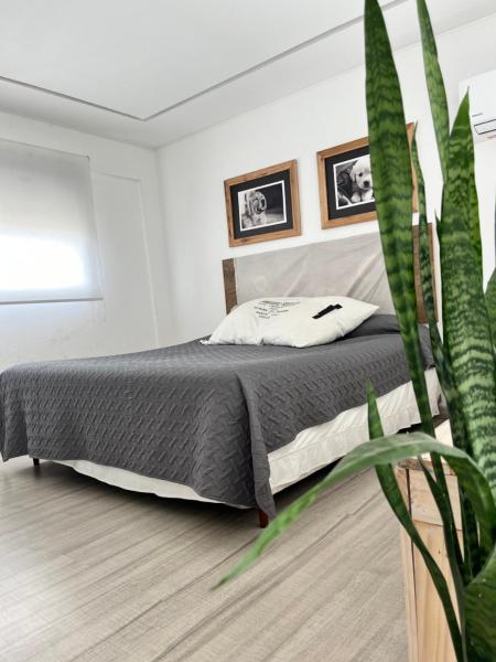 Hermoso Dúplex Céntrico En San Nicolás - San Nicolás de Los Arroyos