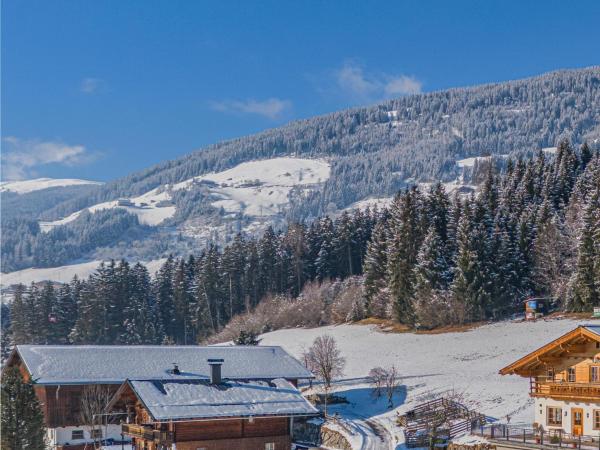 Premium Apartment Almrausch - Mittersill