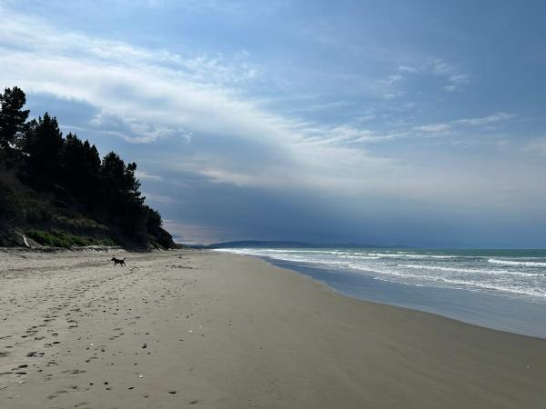 Waikuku Beach Holiday Park - Rangiora