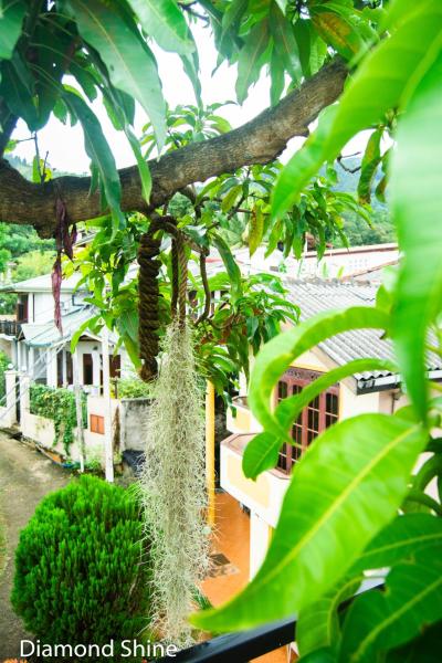 Diamond Shine Hostal And Bunk Beds - Sri Lanka