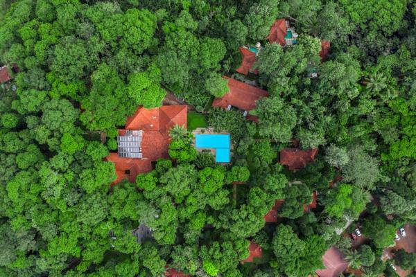Greenwoods Resort, Thekkady - Thekkady