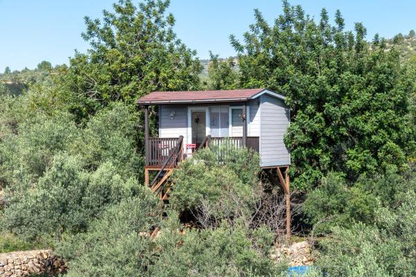 Casa Arbol - Amposta