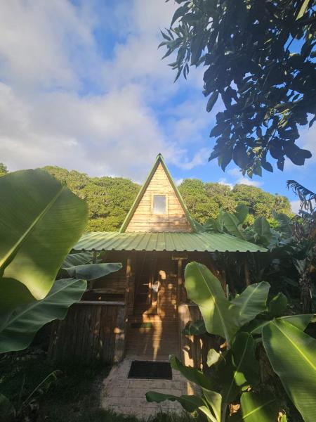 Banana Eco Camp - Azores