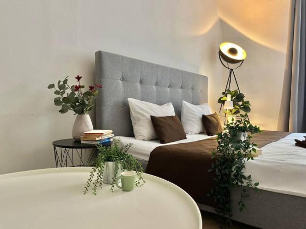 Beautiful New Town Apartment - Praga