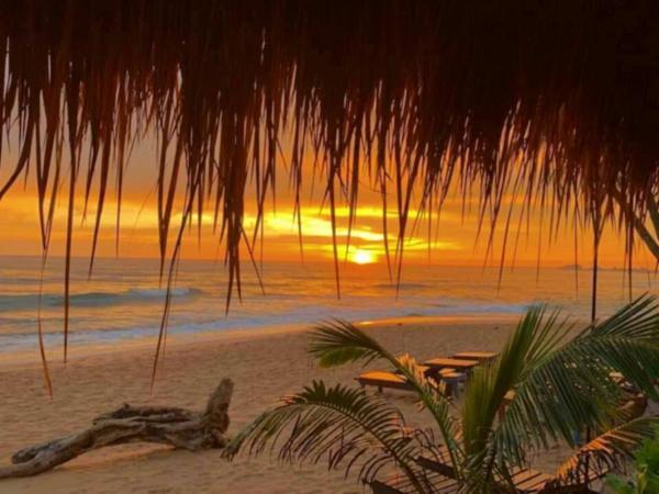 Blue Whales Hotel - Hikkaduwa