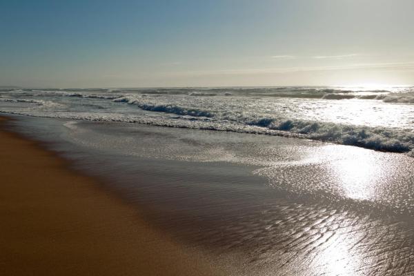 Protea Hotel By Marriott Karridene Beach -