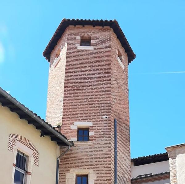 Tour Médiévale Unesco - Albi