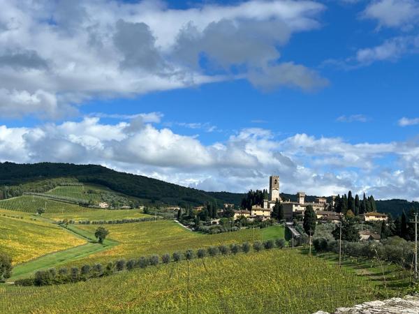 Il Fiorino Di Badia - Toscane