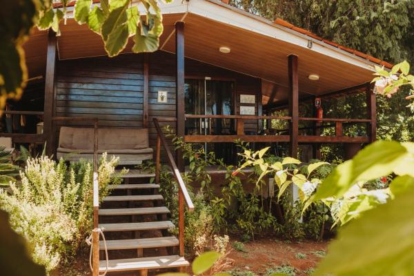 Fulô De Mandacaru - Ilha de Fernando de Noronha